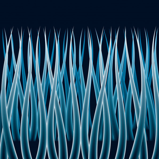 My hair is falling out and nothing has changed lately to explain this ...