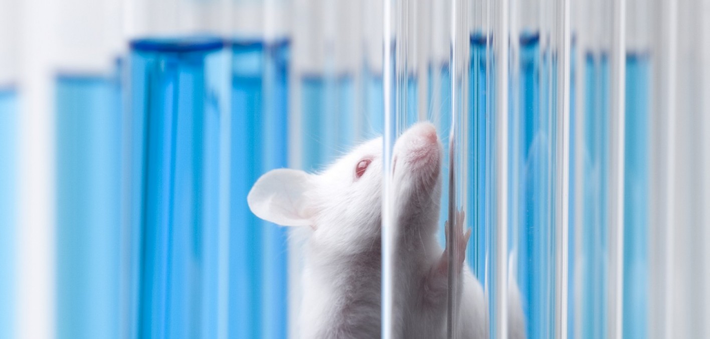 Combo Nanotherapy Greatly Lowers HIV Levels in Mice - POZ